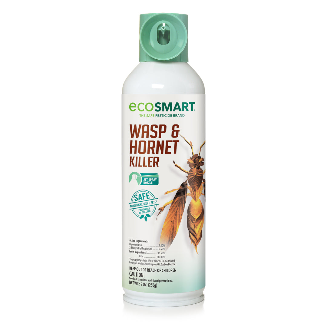 Wasp & Hornet Killer – 9 oz Aerosol – EcoSMART a div. of the Kittrich ...