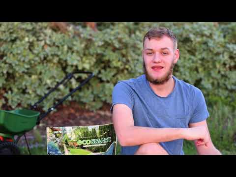 Insect Killer Granules – 10 lb Bag – EcoSMART a div. of the Kittrich ...